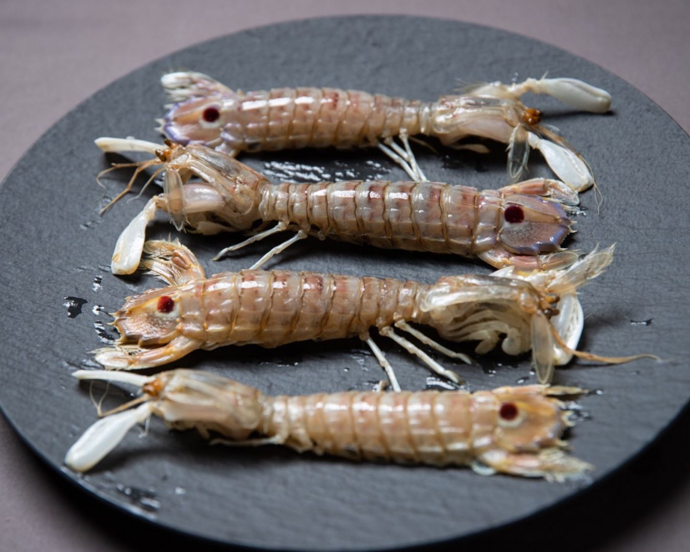 Cicale o Pannocchie – GOURMARE