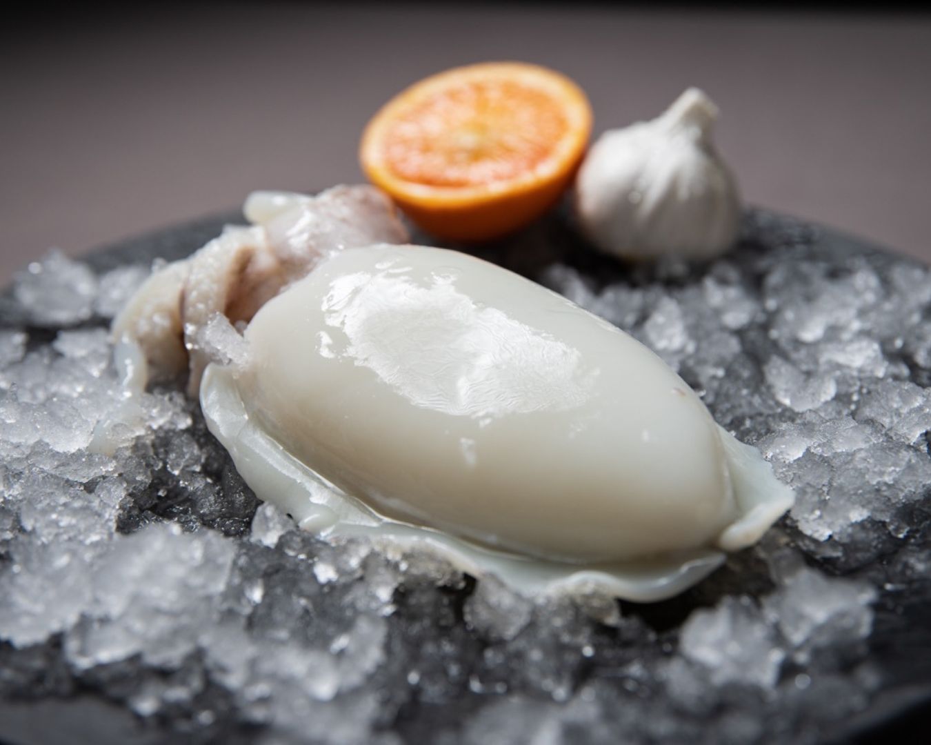 Seppia Pulita ed eviscerata – SEAFOOD UMBERTO I SNC