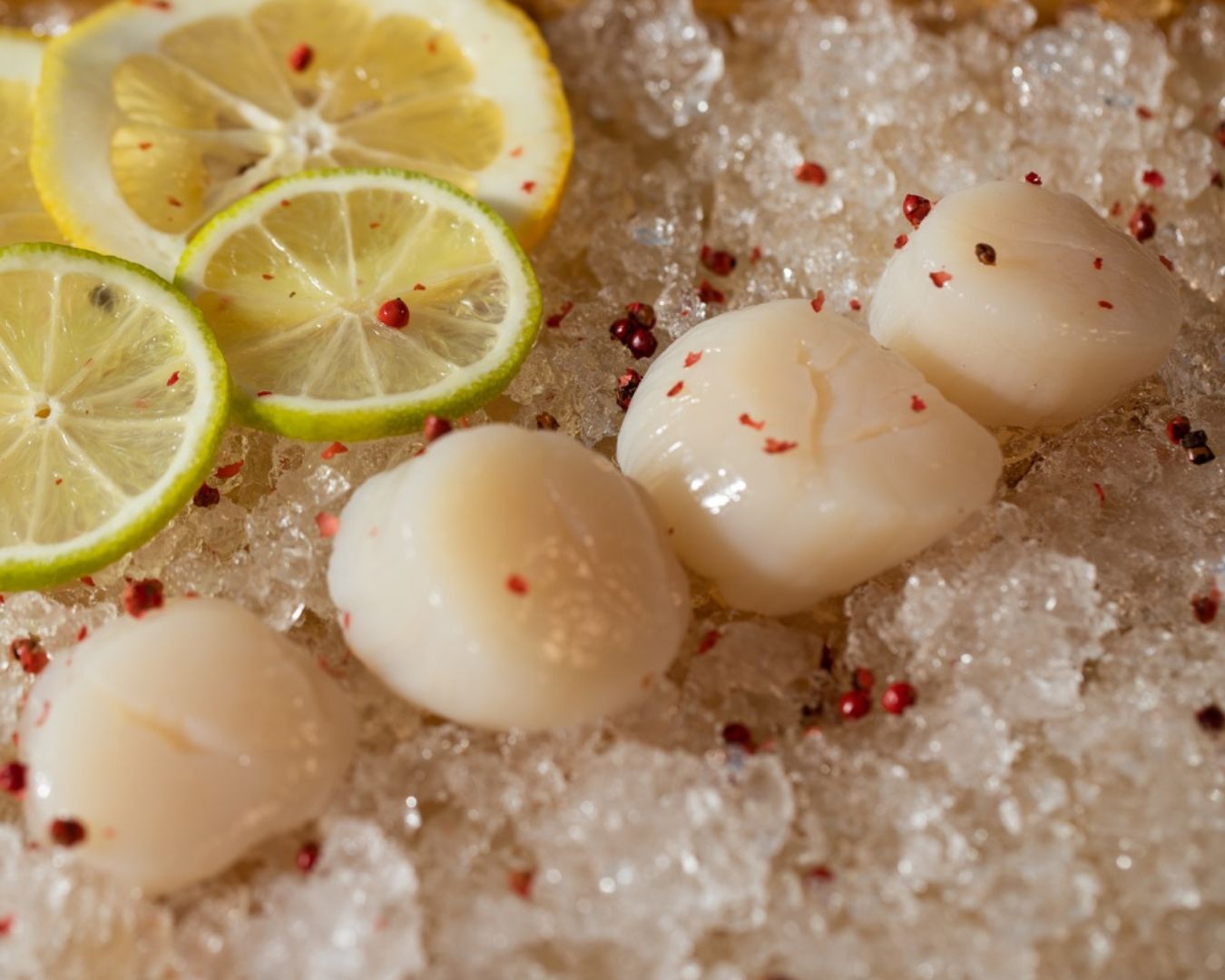 Noce di Cappasanta senza guscio – SEAFOOD UMBERTO I SNC